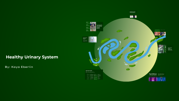 Interactive Presentation on a Healthy Urinary System by Kaya Eberlin on ...