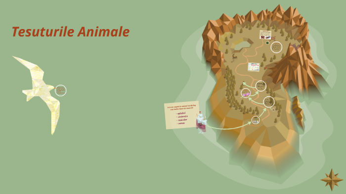 Tesuturile animale by Iulia Jullie on Prezi