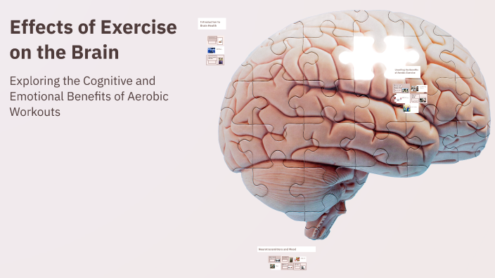 Effects of Exercise on the Brain by audrina riccio on Prezi
