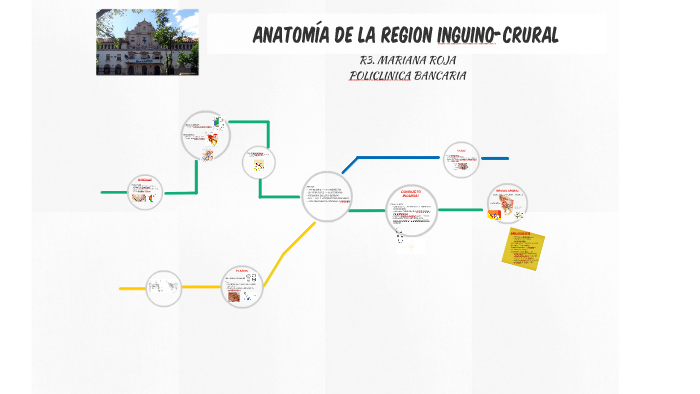 anatomía DE LA REGION INGUINO-CRURAL by mariana roja on Prezi