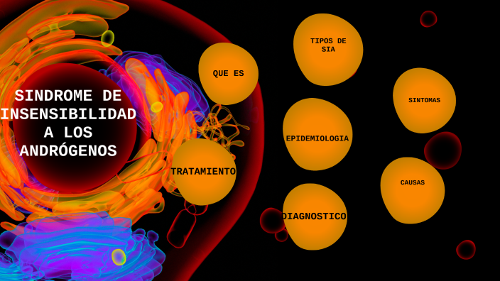Sindrome De Insensibilidad A Los Androgenos By Carlos Miguez On Prezi