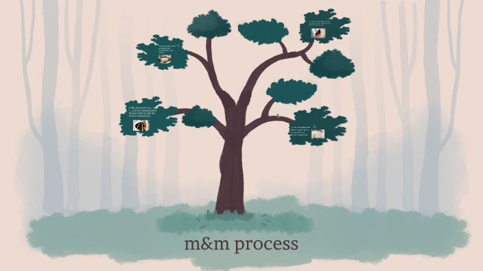 m&m process by Carolina Rico Lopez on Prezi