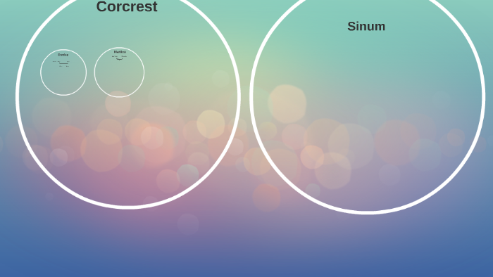 Character Family Trees by Bevin Eastman on Prezi