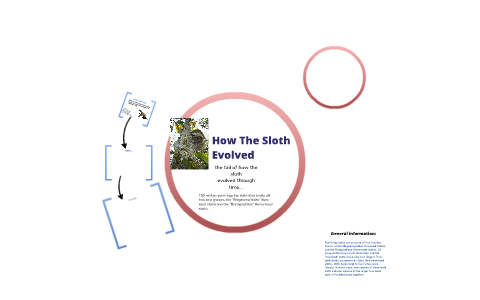 evolution of sloths by ozzy cowliker on Prezi