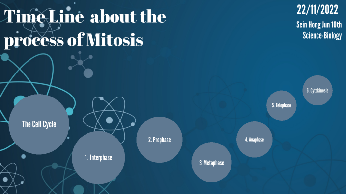 Time line about Mitosis by Sein Hong Jun on Prezi