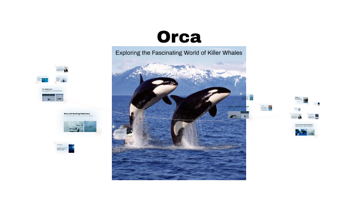 The Mighty Orca by bassem osama on Prezi