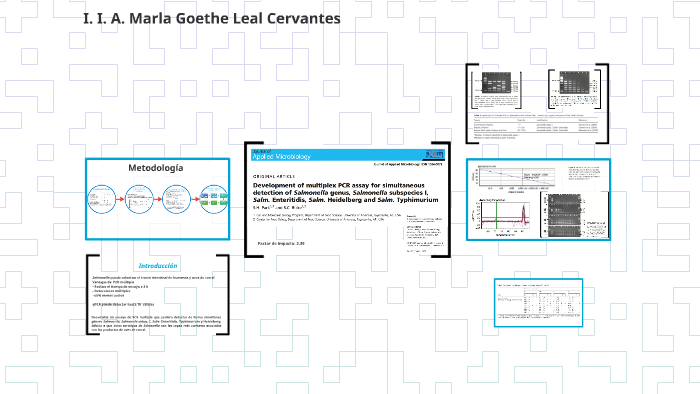 I. I. A. Marla Goethe Leal Cervantes by Marla Leal on Prezi