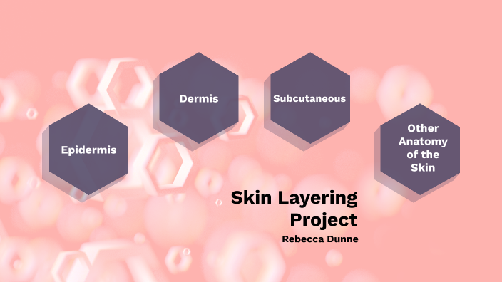 Skin Layering Project by Rebecca Dunne on Prezi