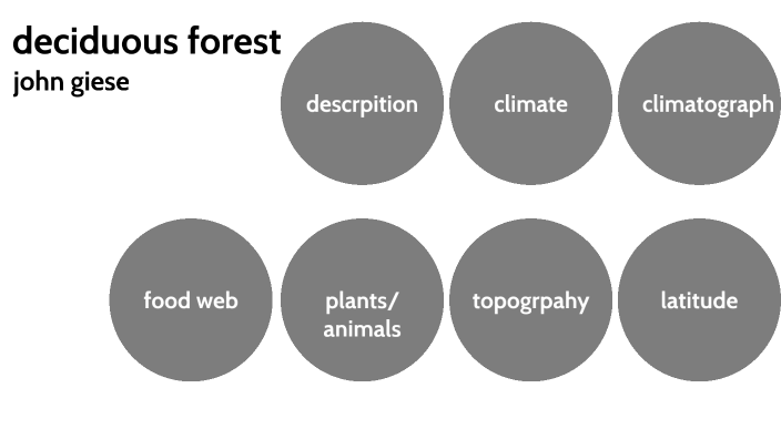 decidous forest by Johnathan Giese on Prezi