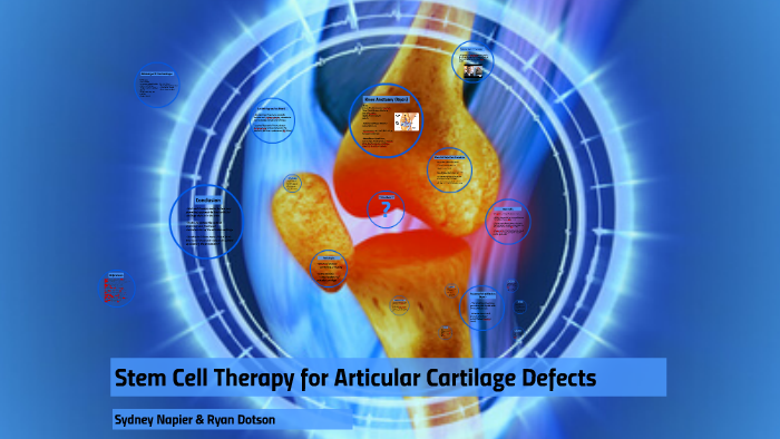 Stem Cell Therapy for Articular Cartilage Defects by sydney Napier on Prezi