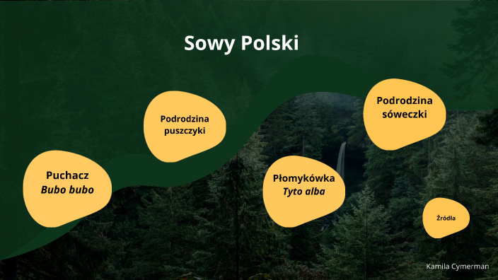 sowy polski by Kamila Camia on Prezi