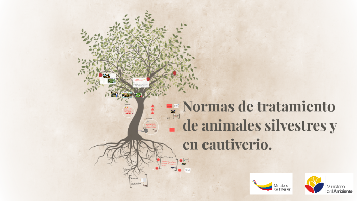 Normas de tratamiento de animales silvestres y en cuativerio by Genesis ...
