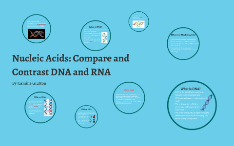 Nucleic Acids: Compare and Contrast DNA and RNA by Jasmine Gratton on Prezi