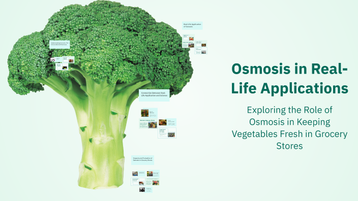 Osmosis in Real-Life Applications by Aljohara Alotaibi on Prezi