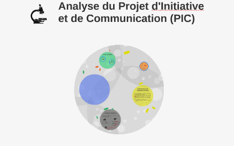 Analyse du Projet d'Initiative et de Communication (PIC) by Émeline Le ...