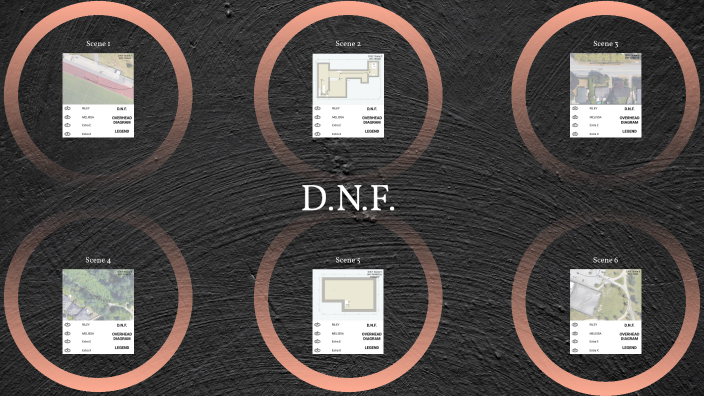 D.N.F. Presentation by Anneke Kluft on Prezi