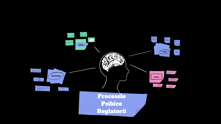 Recapitulare Procese Psihice Reglatorii by R S on Prezi