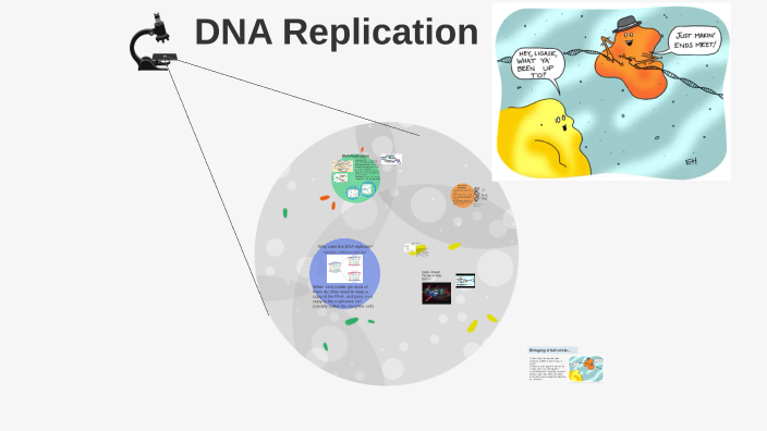 DNA Prezi #2: DNA Replication by Jenna Barbary on Prezi