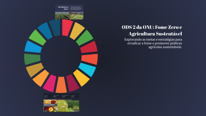 ODS 2 da ONU: Fome Zero e Agricultura Sustentável by rocifran moura on ...
