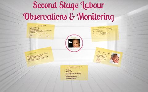 Maternal Observations by Sarah Tipney on Prezi