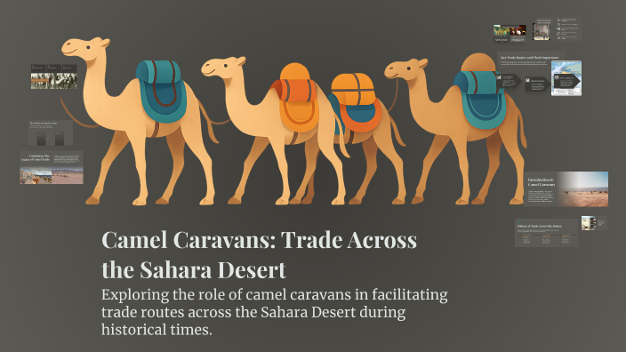 Camel Caravans: Trade Across the Sahara Desert by Vongani Mashimbye on ...