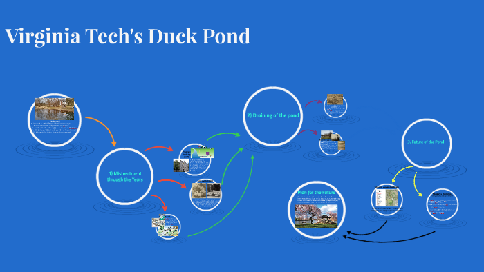 Virginia Tech Duck Pond by Jessica Pierce on Prezi