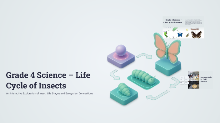 Grade 4 Science – Life Cycle of Insects by Thessamae Cagampang on Prezi