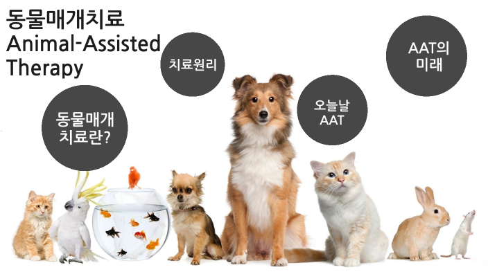 Animal-Assisted Therapy by tyson KIM on Prezi