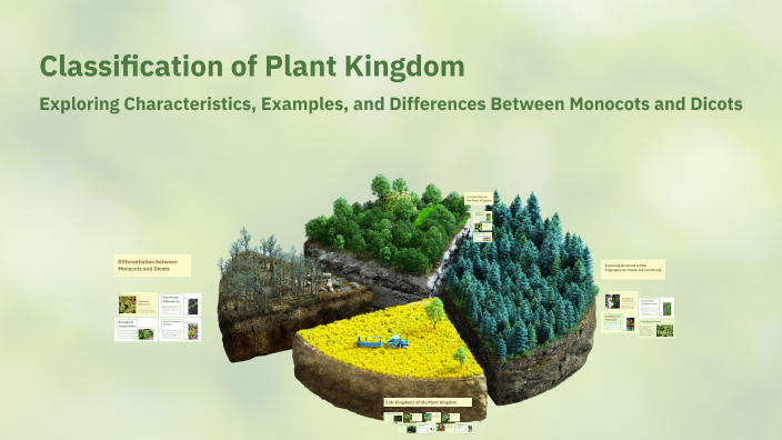 Classification of Plant Kingdom by Regina Phalange on Prezi