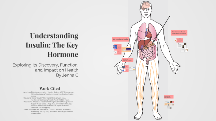 Understanding Insulin: The Key Hormone by Jenna Clark on Prezi