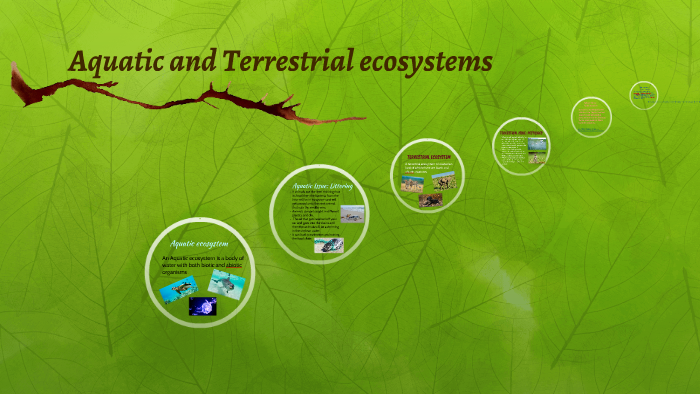 Aquatic and Terrestrial ecosystems by natalie humphreys on Prezi
