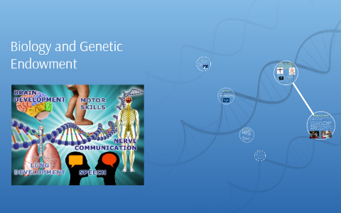 Biology and Genetic Endowment by Evthoxia Roussakis on Prezi
