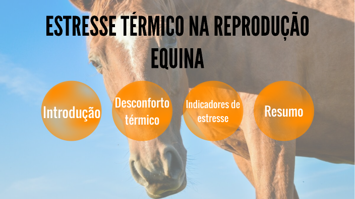 Estresse térmico em equinos by Leticia Lucato Da Silva on Prezi