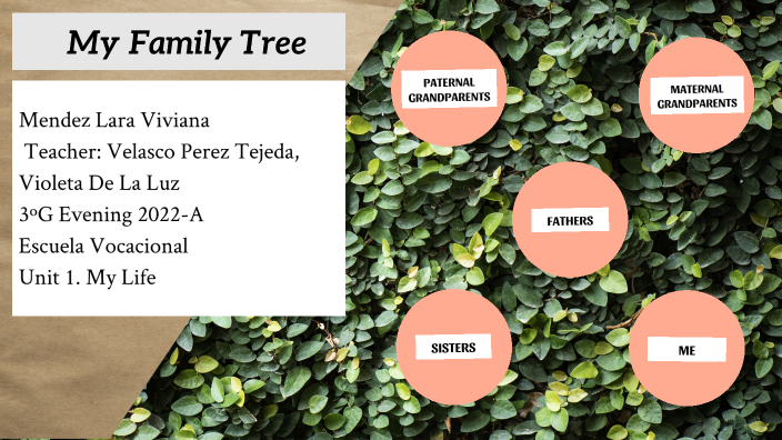 My family tree by VIVIANA MENDEZ LARA on Prezi