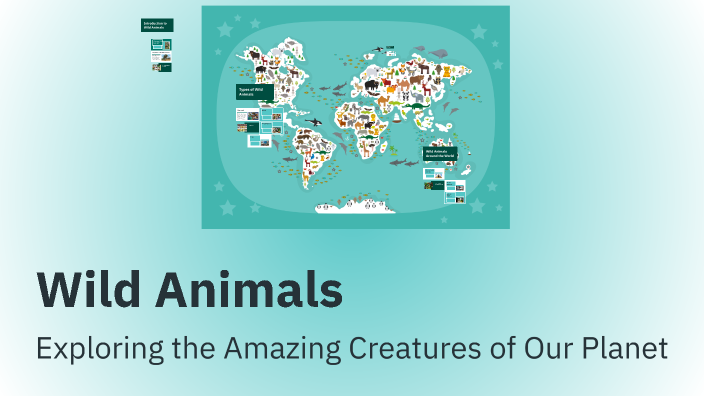 Wild Animals by Лейла Коллинз on Prezi