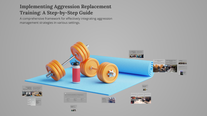 Implementing Aggression Replacement Training: A Step-by-Step Guide by ...