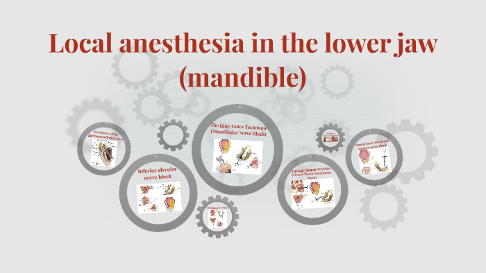 Local anesthesia in the lower jaw (mandible) by noor s84 on Prezi