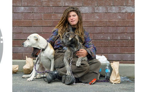 Homeless and Runaway Children in America by Kim Wo on Prezi