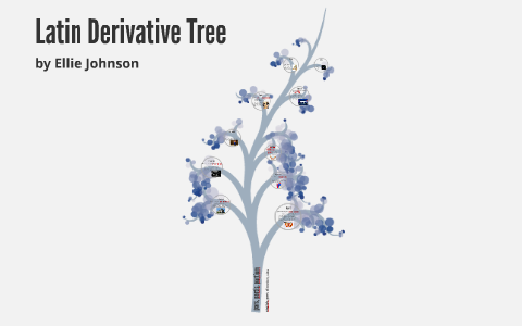 Latin Derivative Tree by Ellie Johnson on Prezi