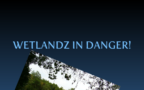 wetlands by alexis edmonds on Prezi