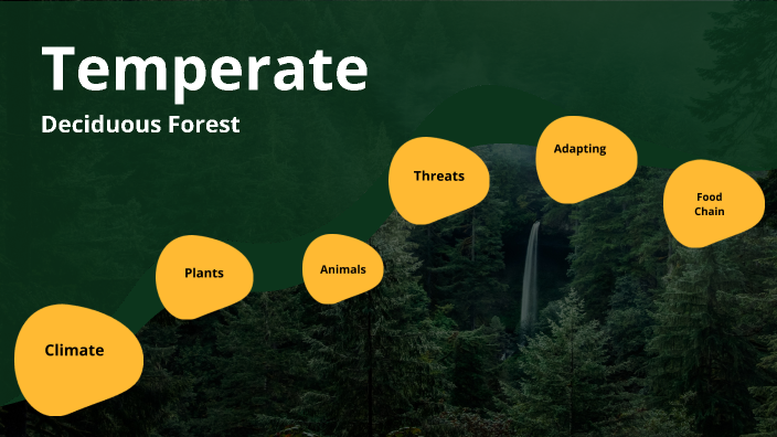 The Temperate Forest by Tavian Lee on Prezi