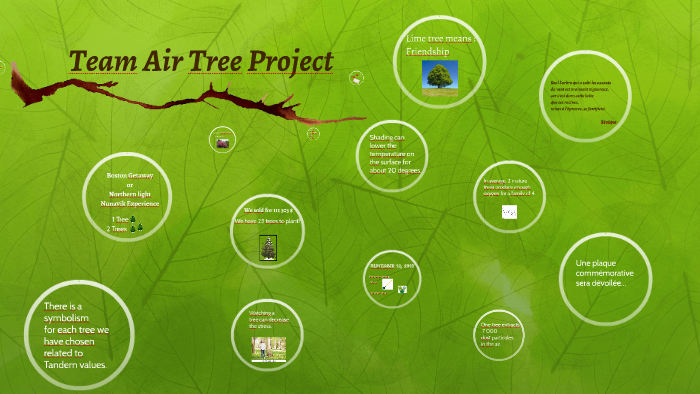 Team Air Trees Project by Team Air on Prezi
