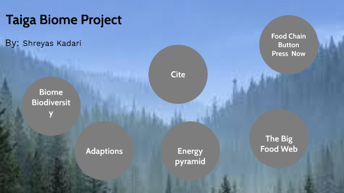 Taiga Science project by Shreyas Kadari on Prezi