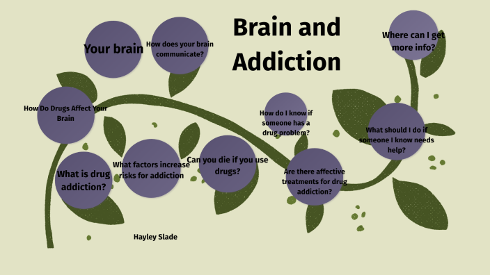Brain and Addiction by Ashton S on Prezi