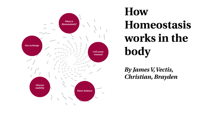 Homeostasis and how it works by Brayden Wong on Prezi