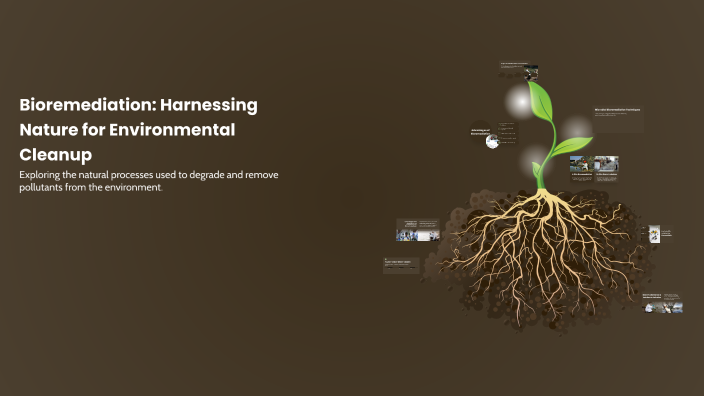 Bioremediation: Harnessing Nature for Environmental Cleanup by JaCee ...