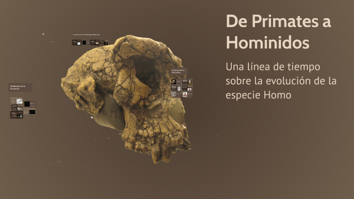 De Primates a Hominidos by Clodet Rifo on Prezi
