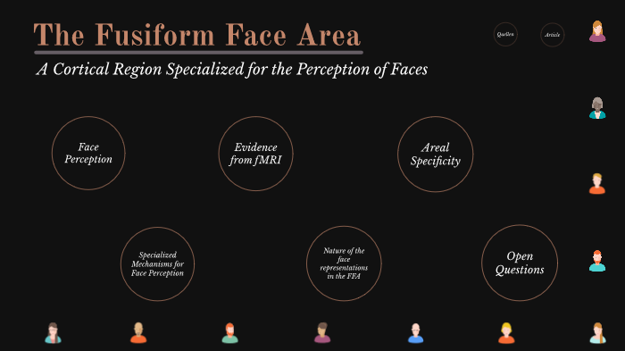 The Fusiform Face Area by Preeti Chani