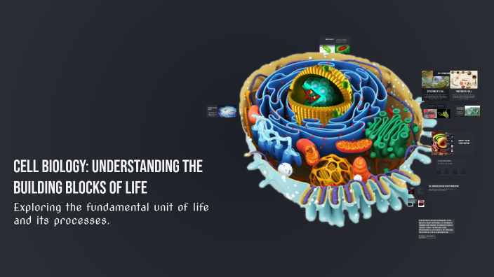Cell Biology: Understanding the Building Blocks of Life by Kamila ...