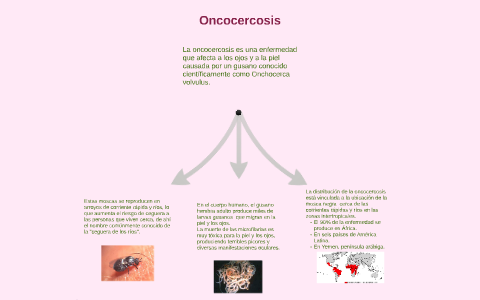 Oncocercosis by carmen de Miguel on Prezi